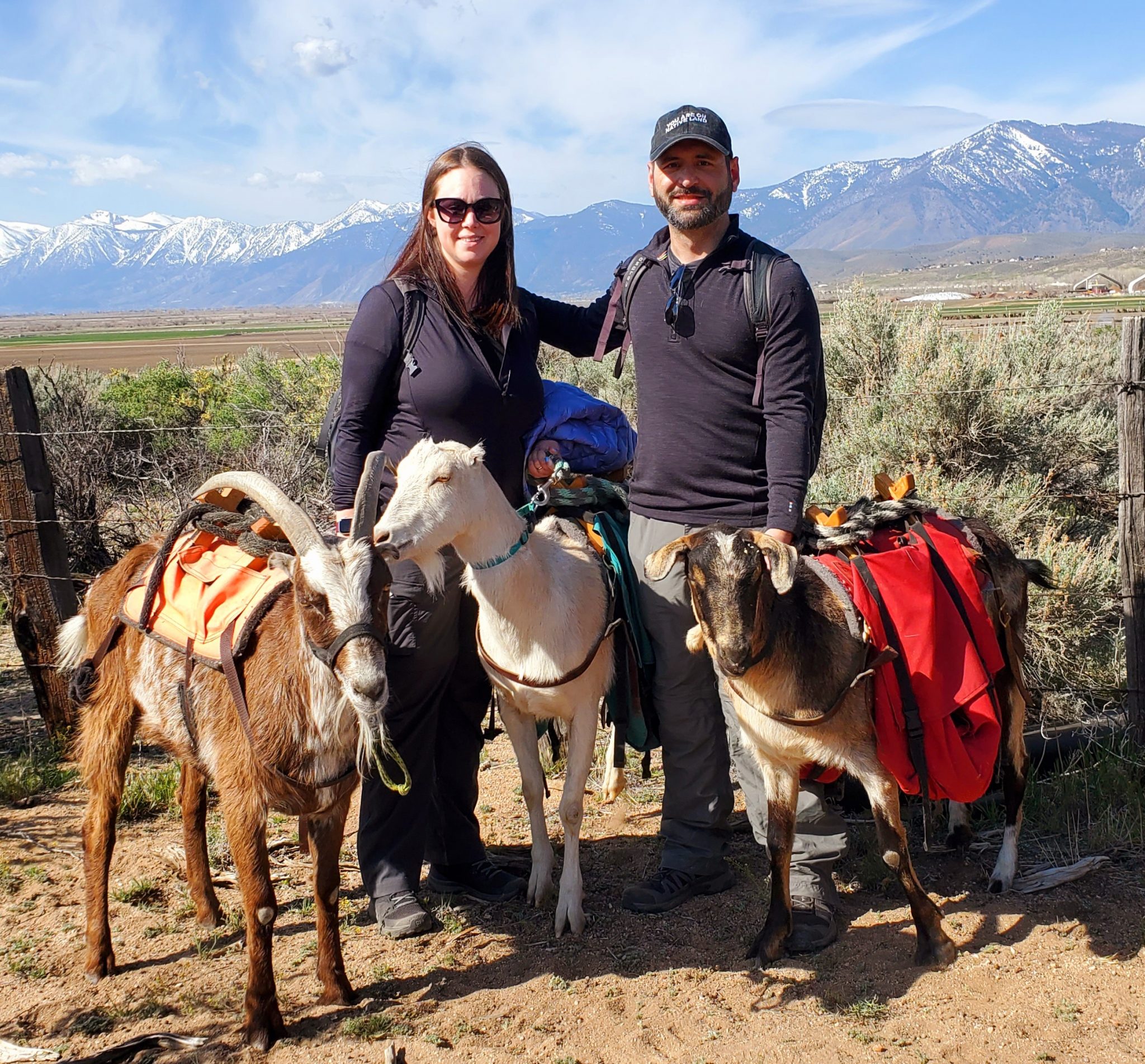 High Sierra Pack Goats - Goat Journal